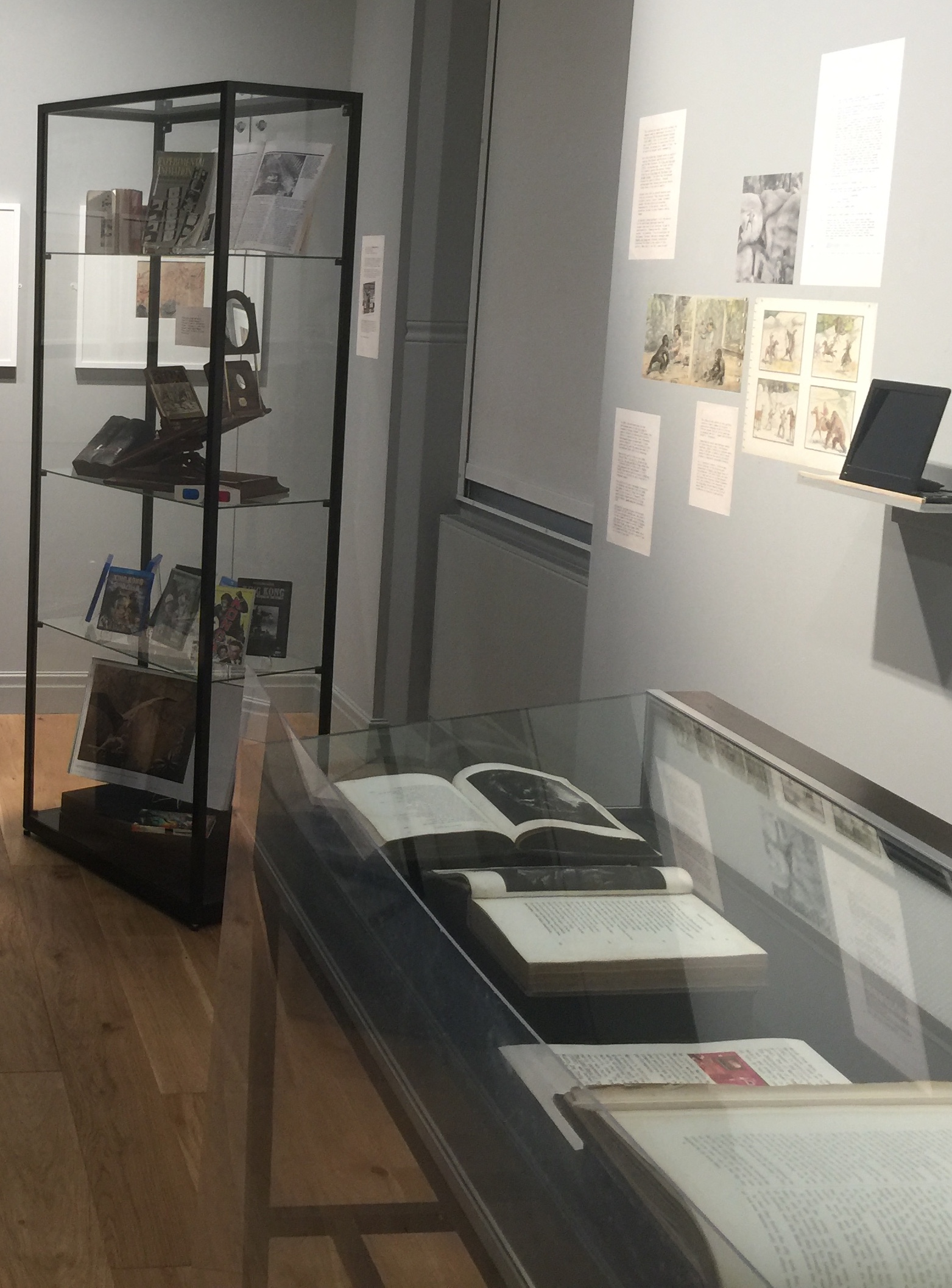 Recapturing Mighty Joe Young: The Raymond Durgnat Bequest – Harry Heuser