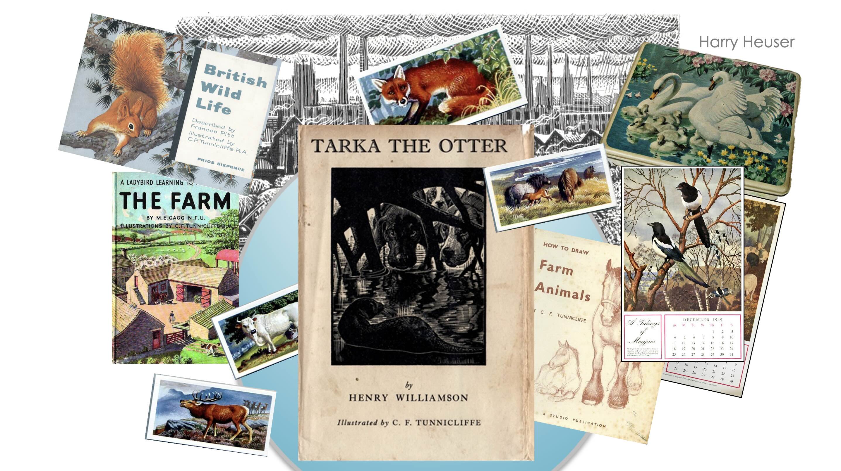 Silk Town Country Boy: The Life and Work of Charles F. Tunnicliffe RA ...